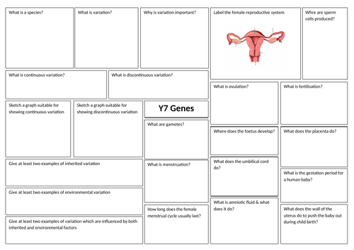 Y7 Genes Revision pack 2020 - Based on AQA KS3 Science Programme of ...