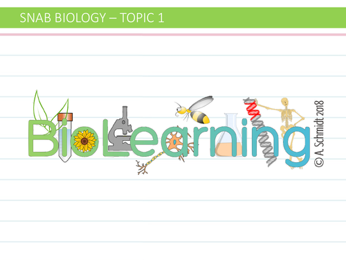 SNAB Biology Topic 1 - Lesson 12 (Immobilised enzymes) – WS and PPT ...