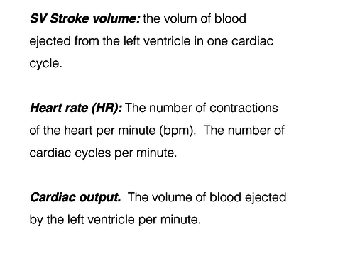 8 slides cardiac output; stroke volume; heart rate. | Teaching Resources