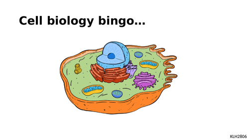 Cell organelles bingo | Teaching Resources