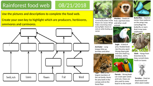 KS3 Climate and ecosystems unit of work | Teaching Resources