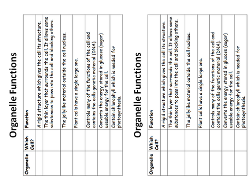 KS3 Unit 7A Biology- Organs (7A life 7B organs 7C microscope 7D plant ...