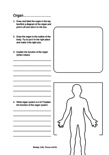 KS3 Unit 7A Biology- Organs (7A life 7B organs 7C microscope 7D plant ...