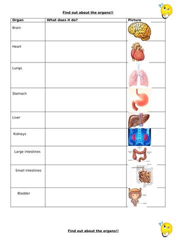 KS3 Unit 7A Biology- Organs (7A life 7B organs 7C microscope 7D plant ...