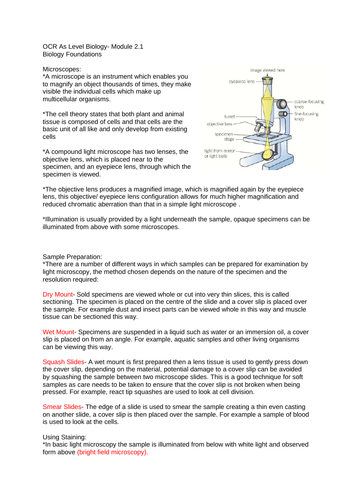 OCR A Level Biology Module 2 Revision Notes | Teaching Resources