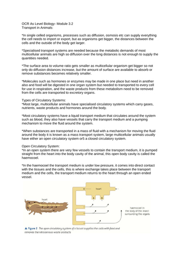 OCR A Level Biology Module 3 Revision Notes | Teaching Resources