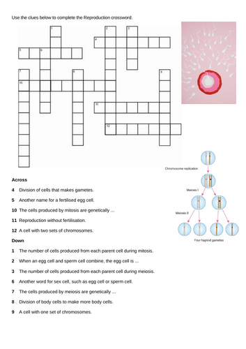 13.1 Types of Reproduction (sexual & asexual) AQA GCSE biology ...