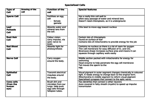 AQA (9-1) Cell Structure and Cell Transport (Spec Ref: 4.1.11-4.1.1.5 ...