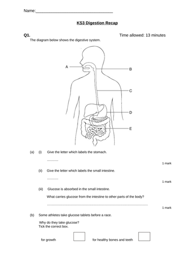 AQA (9-1) Human Digestive System (Spec Ref: 4.2.2.1) | Teaching Resources