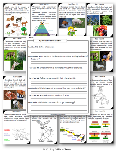 Foodwebs Scavenger Hunt Activity | Teaching Resources