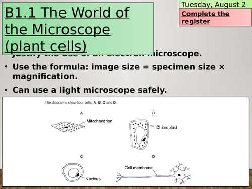KS$ B1.1 The world of the microscope (plant cells) | Teaching Resources