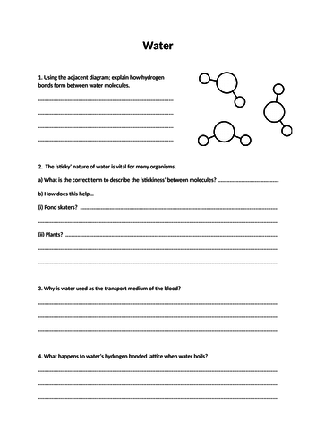 Water - Biological molecules. AQA A-level biology 7401 | Teaching Resources