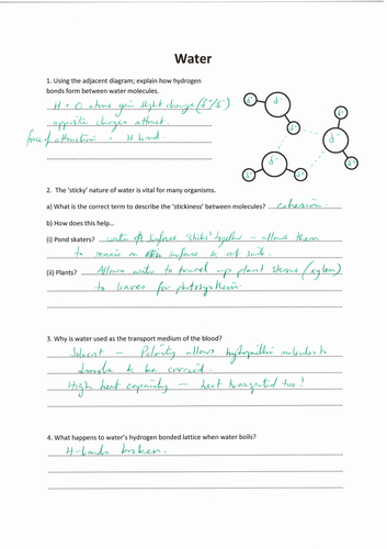 Water - Biological molecules. AQA A-level biology 7401 | Teaching Resources