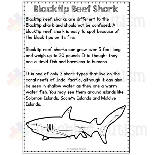 Shark Facts Reading Comprehension Passages and Questions | Teaching ...