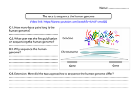 13.4 DNA and the genome GCSE (Grade 1-9) Biology | Teaching Resources