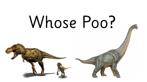 Dinosaur Poo Experiment | Teaching Resources