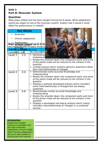 Btec Sport - Level 3 - Unit 1 - Structure Strip - Adaptations To The Muscular System | Teaching ...