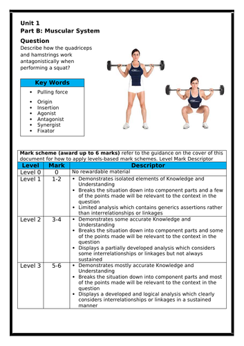 Btec Sport - Level 3 - Unit 1 - Structure Strip - Antagonistic Muscle ...