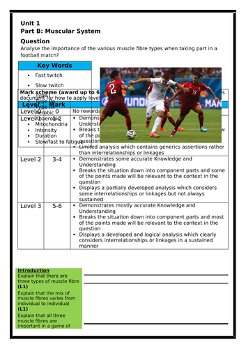Btec Sport - Level 3 - Unit 1 - Structure Strip - Types of Muscle Fibre ...