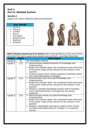 Btec Sport - Level 3 - Unit 1 - Structure Strip - Postural Deviations (Skeletal System ...