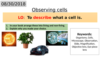 B1.1 Observing cells | Teaching Resources