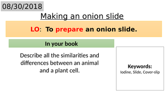 B1.2.3 Making an onion slide (Practical) | Teaching Resources