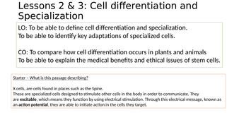 Differentiation and specialized cells | Teaching Resources