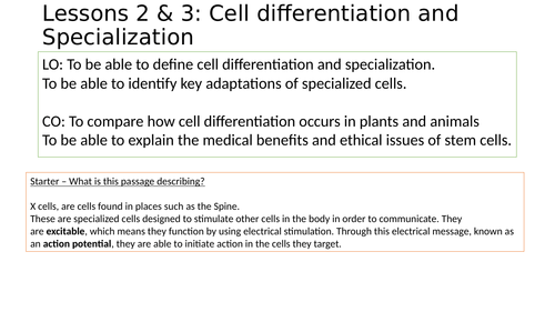 Differentiation and specialized cells | Teaching Resources