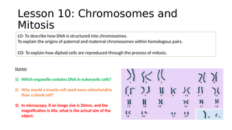Mitosis and Observing Mitosis | Teaching Resources