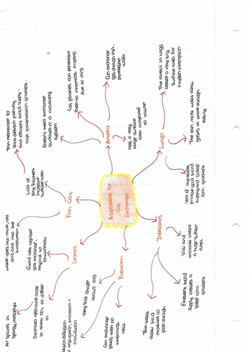 GCSE Biology Diffusion and Gas Exchange Revision Posters | Teaching ...