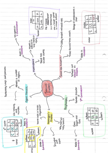 Gcse Biology Inherited Disorders Notes Teaching Resources