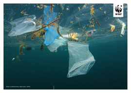 WWF Oceans and Plastics KS2 Activity set | Teaching Resources