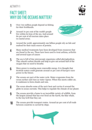 WWF Oceans and Plastics KS2 Activity set | Teaching Resources