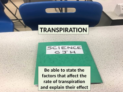 Transpiration (GCSE) | Teaching Resources