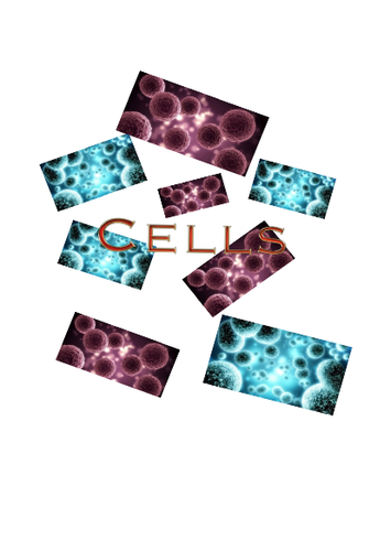 Cells Booklet AS Biology OCR | Teaching Resources