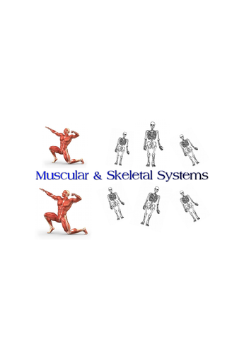 Muscular and Skeletal Systems Booklet AS PE OCR | Teaching Resources