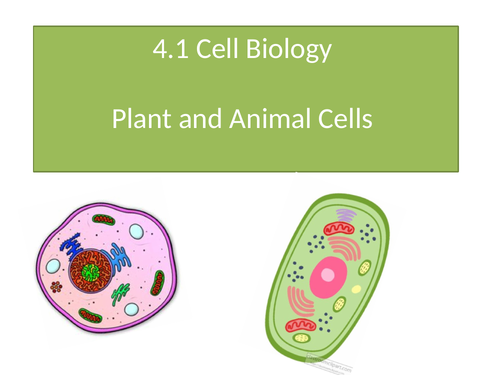 GCSE Biology 4.1 Plant and Animal Cells (includes Required Practical ...