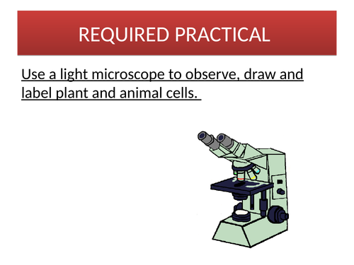 GCSE Biology 4.1 Plant and Animal Cells (includes Required Practical ...