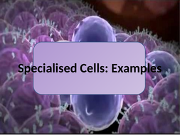GCSE Biology 4.1 - Cell Specialisation lessons | Teaching Resources