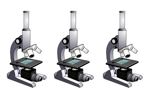 GCSE Biology 4.1 Light and Electron microscopes | Teaching Resources