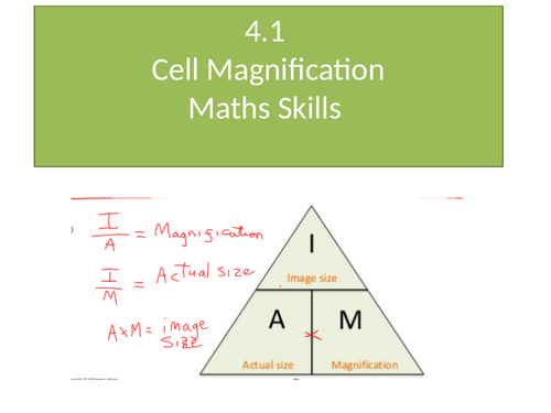 GCSE Biology 4.1 Cell Magnification Calculations | Teaching Resources
