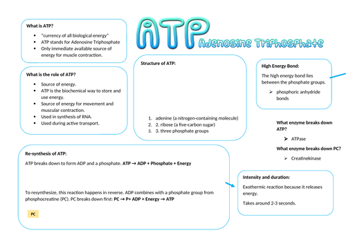 ATP Poster AS PE OCR | Teaching Resources