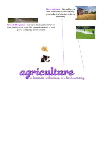 Agriculture Mind Map AS Biology OCR Biodiversity | Teaching Resources