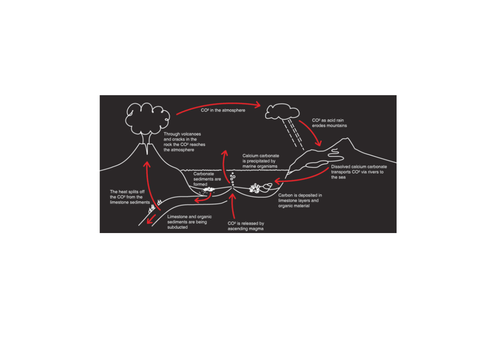 CARBON EQ1 Lesson 2 The slow carbon cycle Edexcel A Level Geography ...