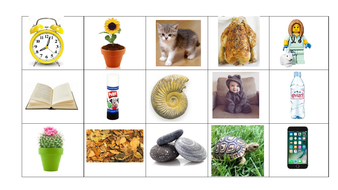 Living, Dead and Never Alive Sorting Activity | Teaching Resources