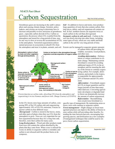 CARBON EQ1 Lesson 3 Fast Carbon Cycle Edexcel A Level Geography ...