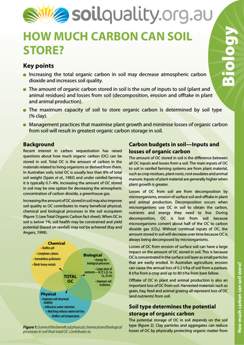 CARBON EQ1 Lesson 3 Fast Carbon Cycle Edexcel A Level Geography ...