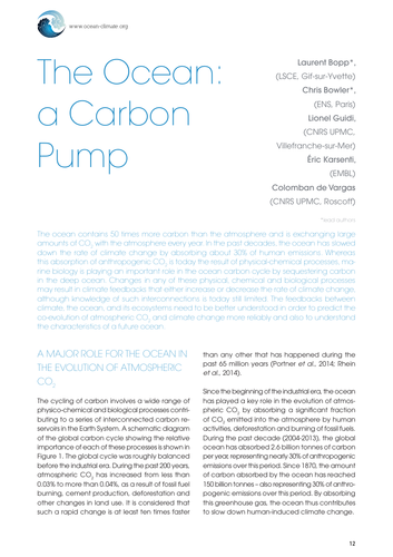 CARBON EQ1 Lesson 3 Fast Carbon Cycle Edexcel A Level Geography ...