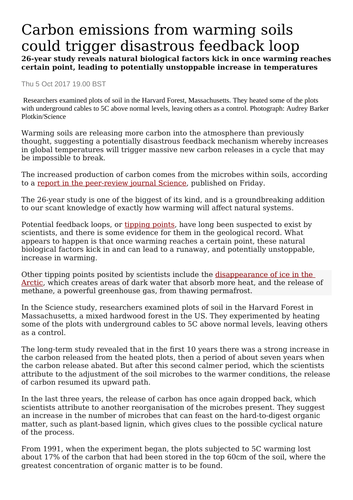 CARBON EQ1 Lesson 4 Feedback loops Edexcel A Level Geography | Teaching ...