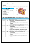Btec Sport-Level 3-Unit 1- Structure Strip -Nervous Control Cardiac ...